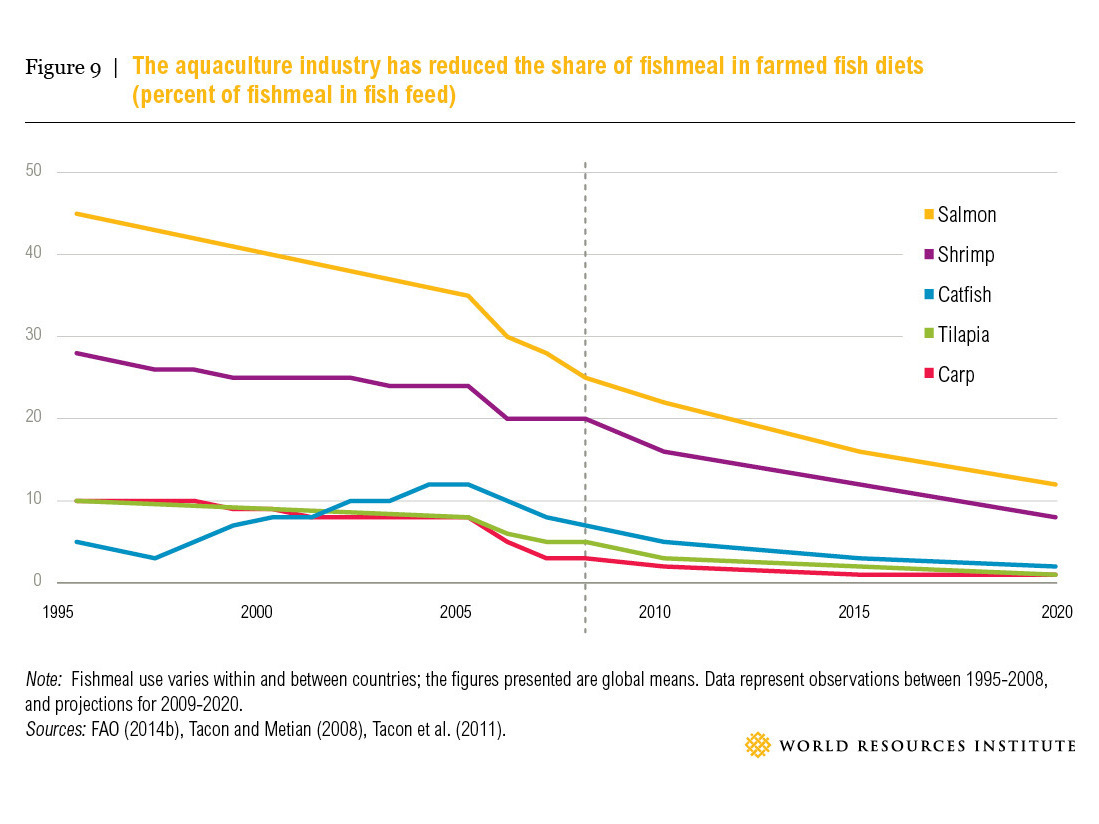 Can Farmed Fish Feed The World Without Destroying The Environment ...