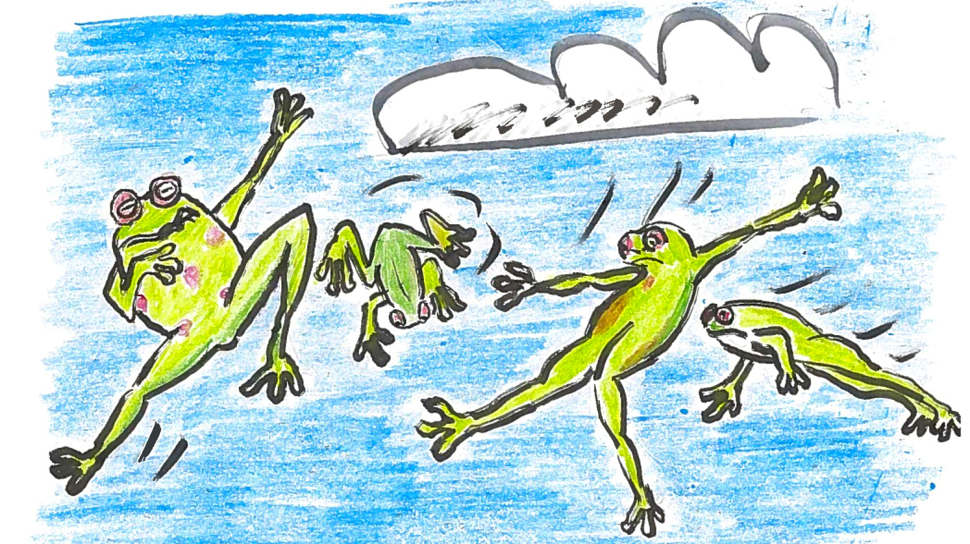 How We Learned That Frogs Fly : Krulwich Wonders... : NPR