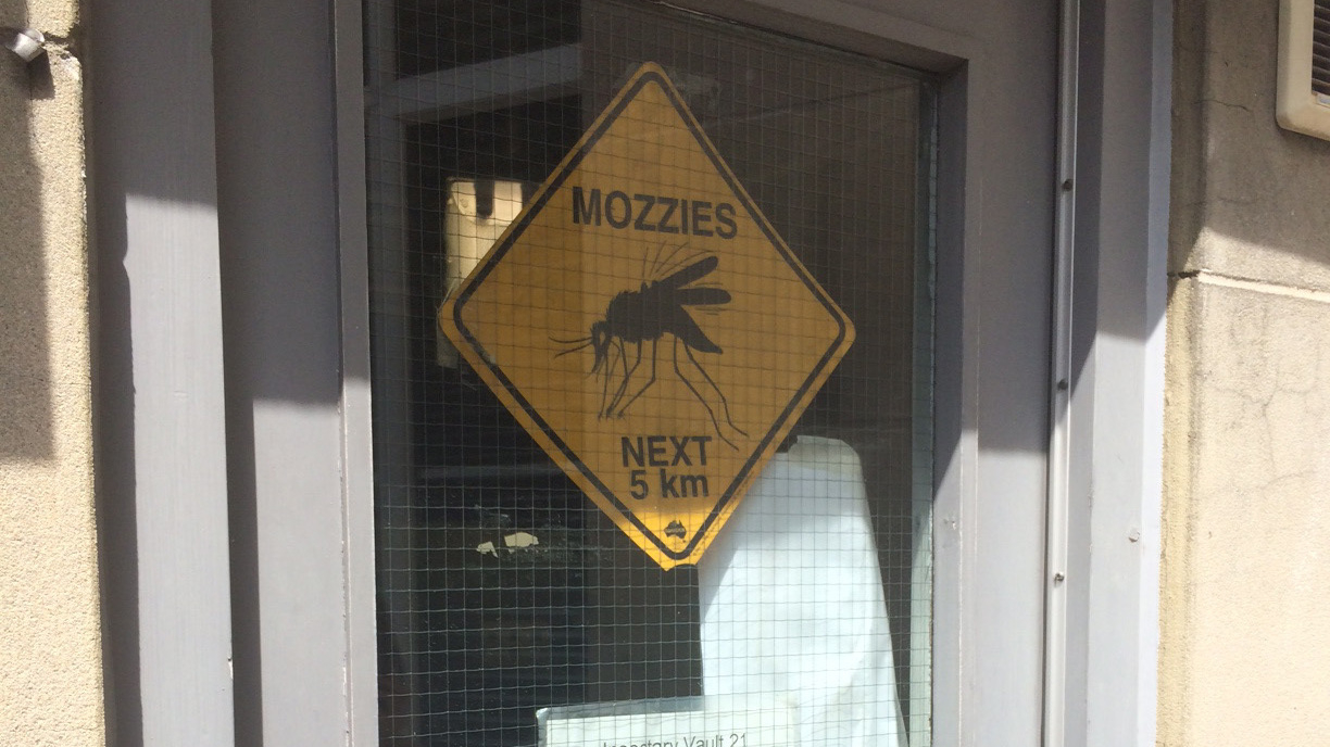 In London, An Underground Home For The World's Mosquitoes : Parallels : NPR