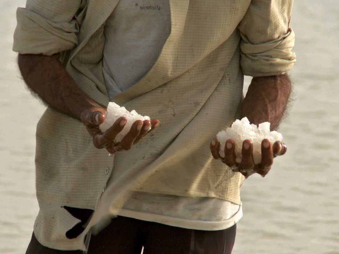 In 'My Name Is Salt,' The Toil And Joy Of India's Salt Harvest : The ...