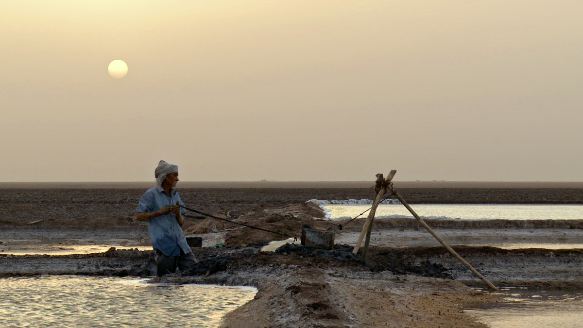 In 'My Name Is Salt,' The Toil And Joy Of India's Salt Harvest : The ...