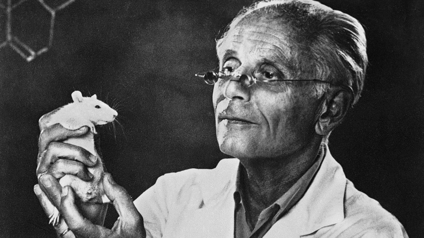 The Secret History Behind The Science Of Stress : Shots - Health News : NPR