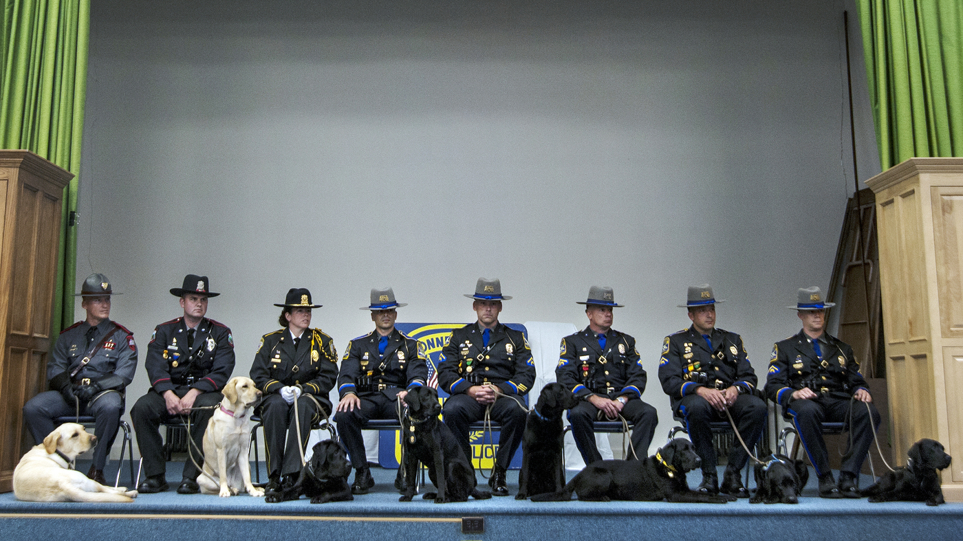 Police Use Dog To Find Memory And Hard Drives In Search : The Two-Way : NPR