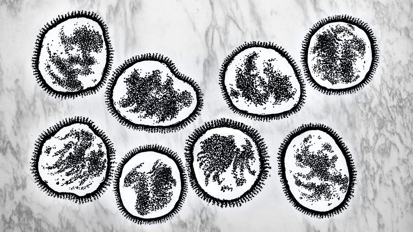 Feds Tighten Lab Security After Anthrax, Bird Flu Blunders : Shots ...