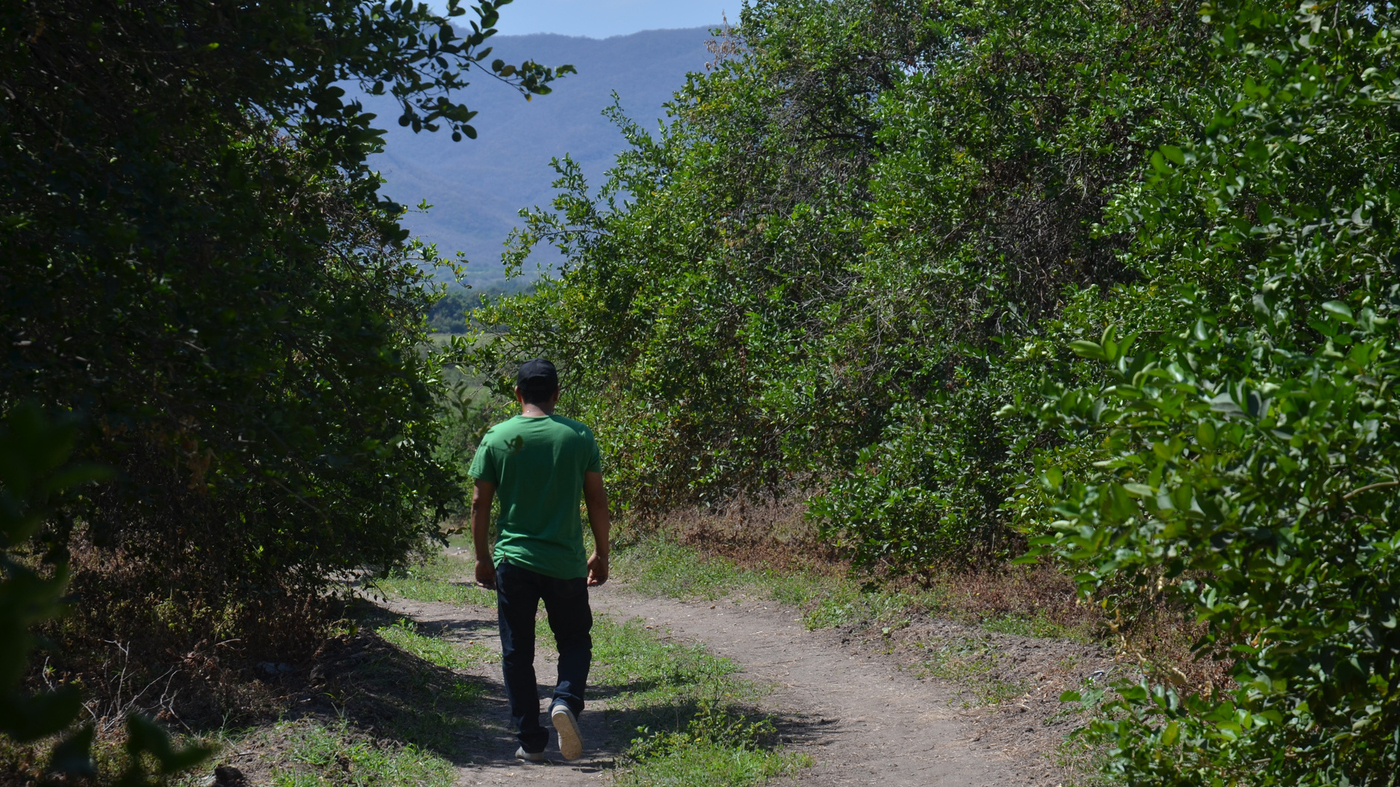 Migrant Heads Home To Mexico — And Joins Fight Against Cartel : NPR