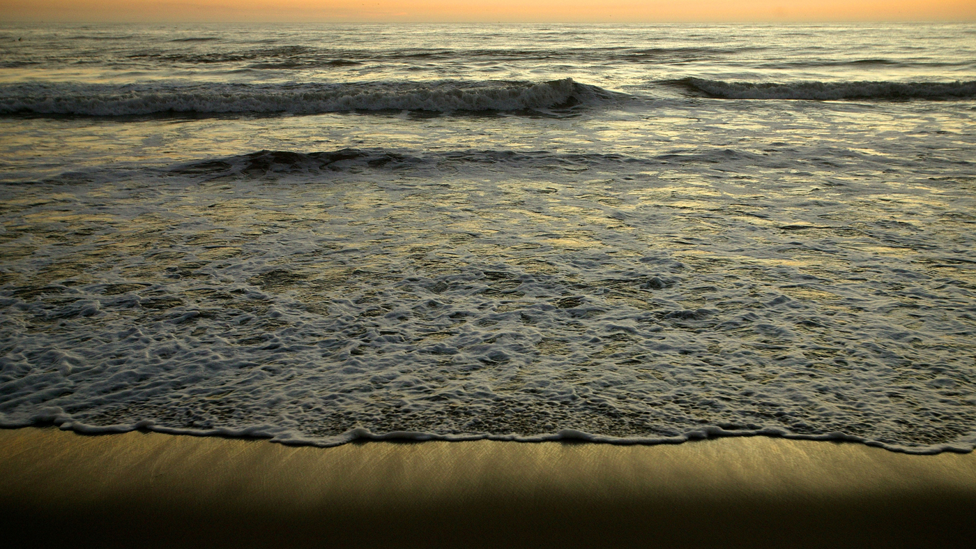 Learning To Love The Ocean After A Lifetime Of Fearing It : NPR