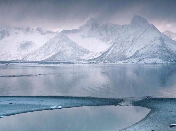 In 1879, Explorers Set Sail To Solve Arctic Mystery, Once And For All ...