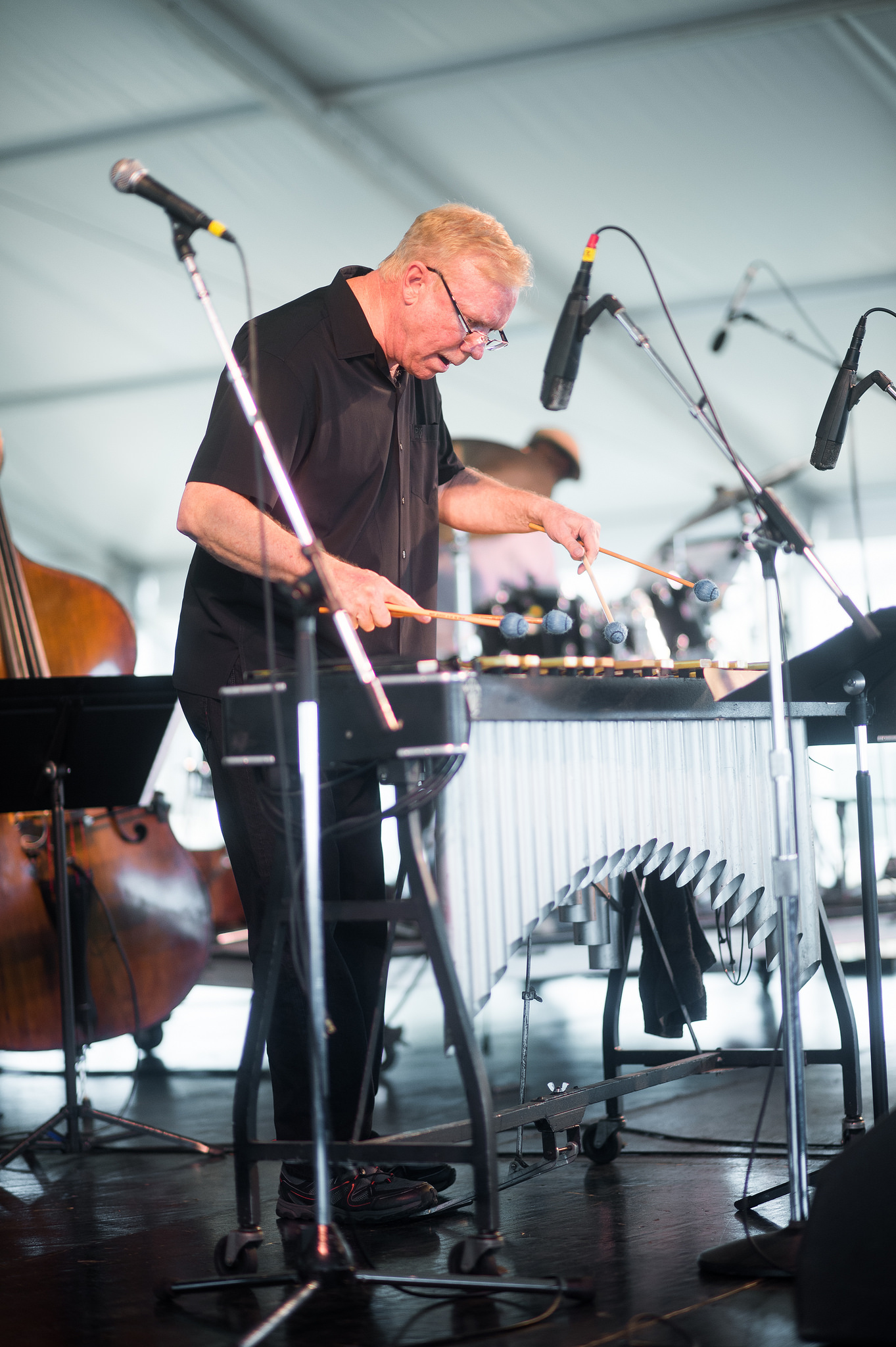 Newport Jazz 2014 In Photos | NCPR News