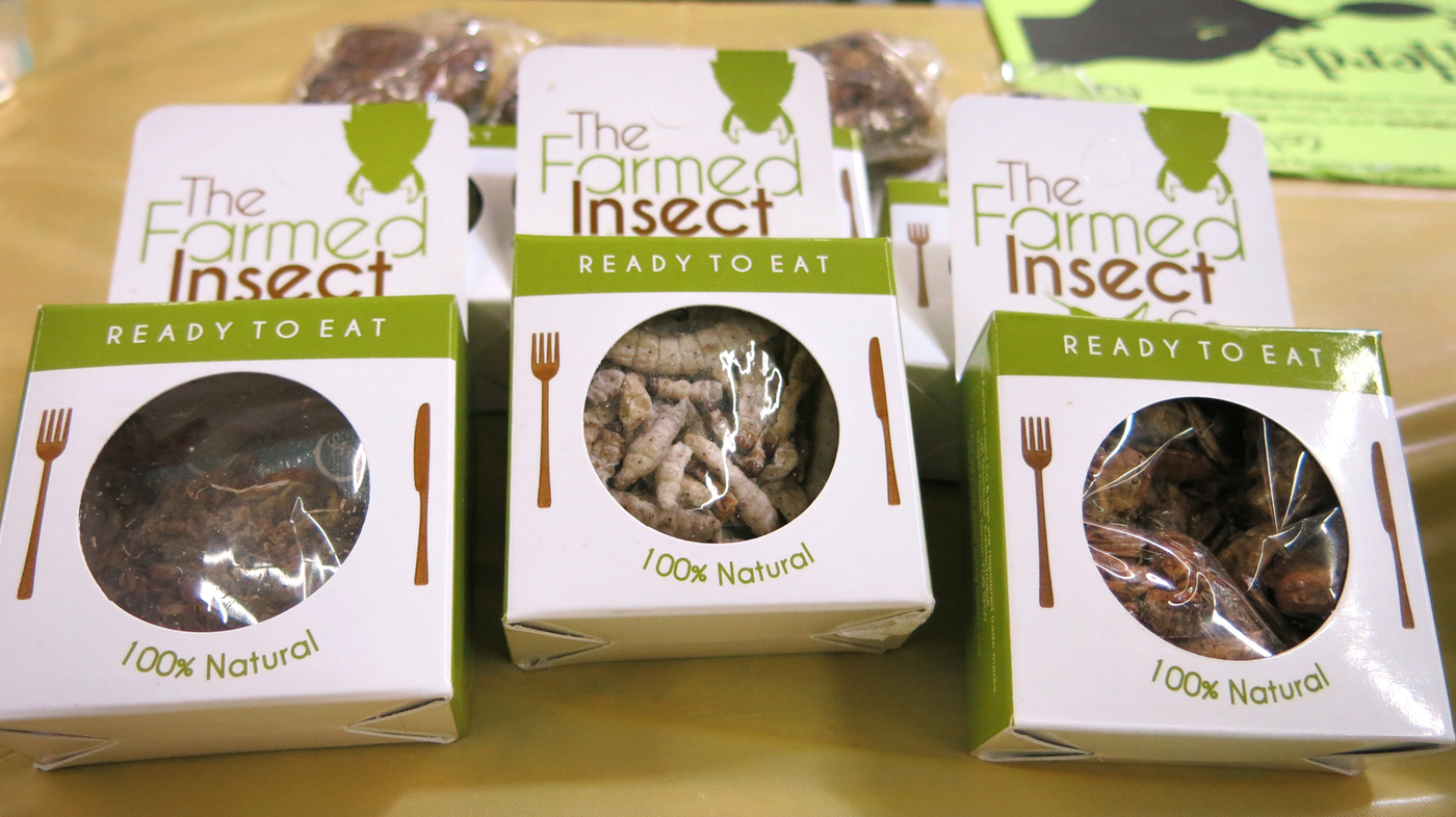 Will Americans Buy Bug Snacks? Maybe ... If They're Funny And Cute ...