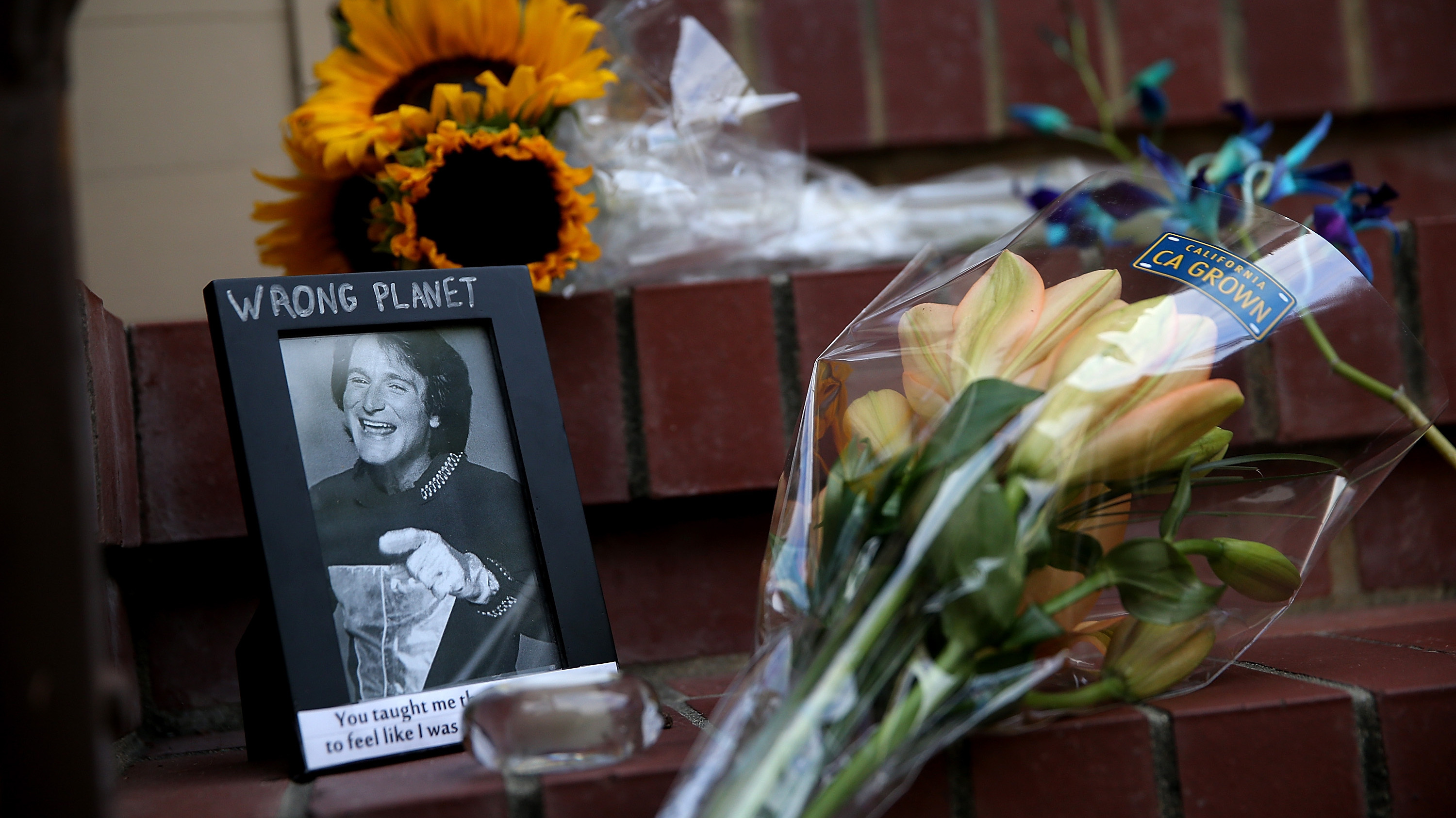 Robin Williams Hanged Himself In Apparent Suicide, Police Say : The Two ...