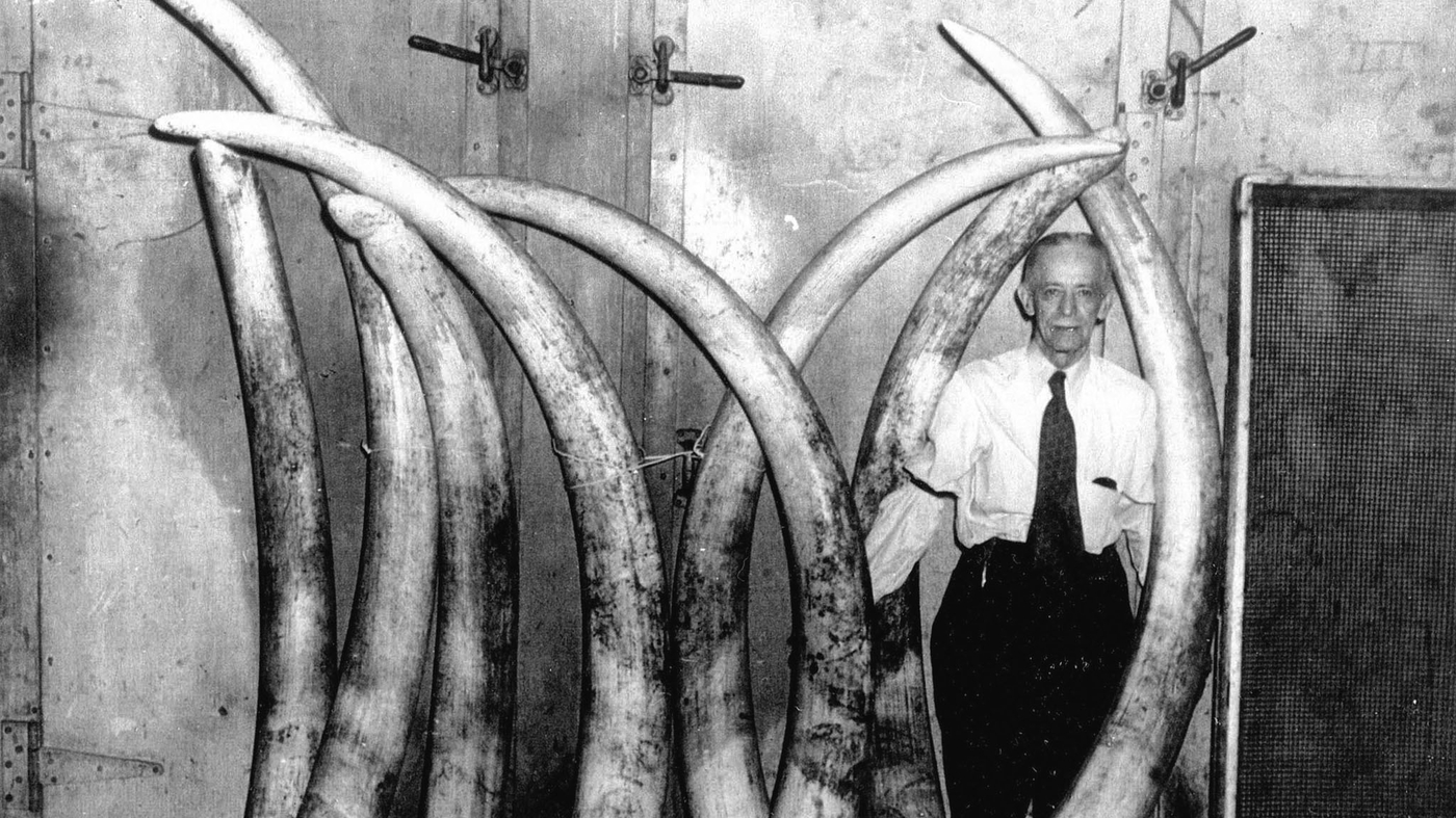 Elephant Slaughter, African Slavery And America's Pianos : NPR