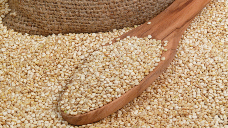 Can Quinoa Take Root On The 'Roof Of The World'? : The Salt : NPR