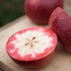 Keeping Heirloom Apples Alive Is 'Like A Chain Letter' Over Many ...