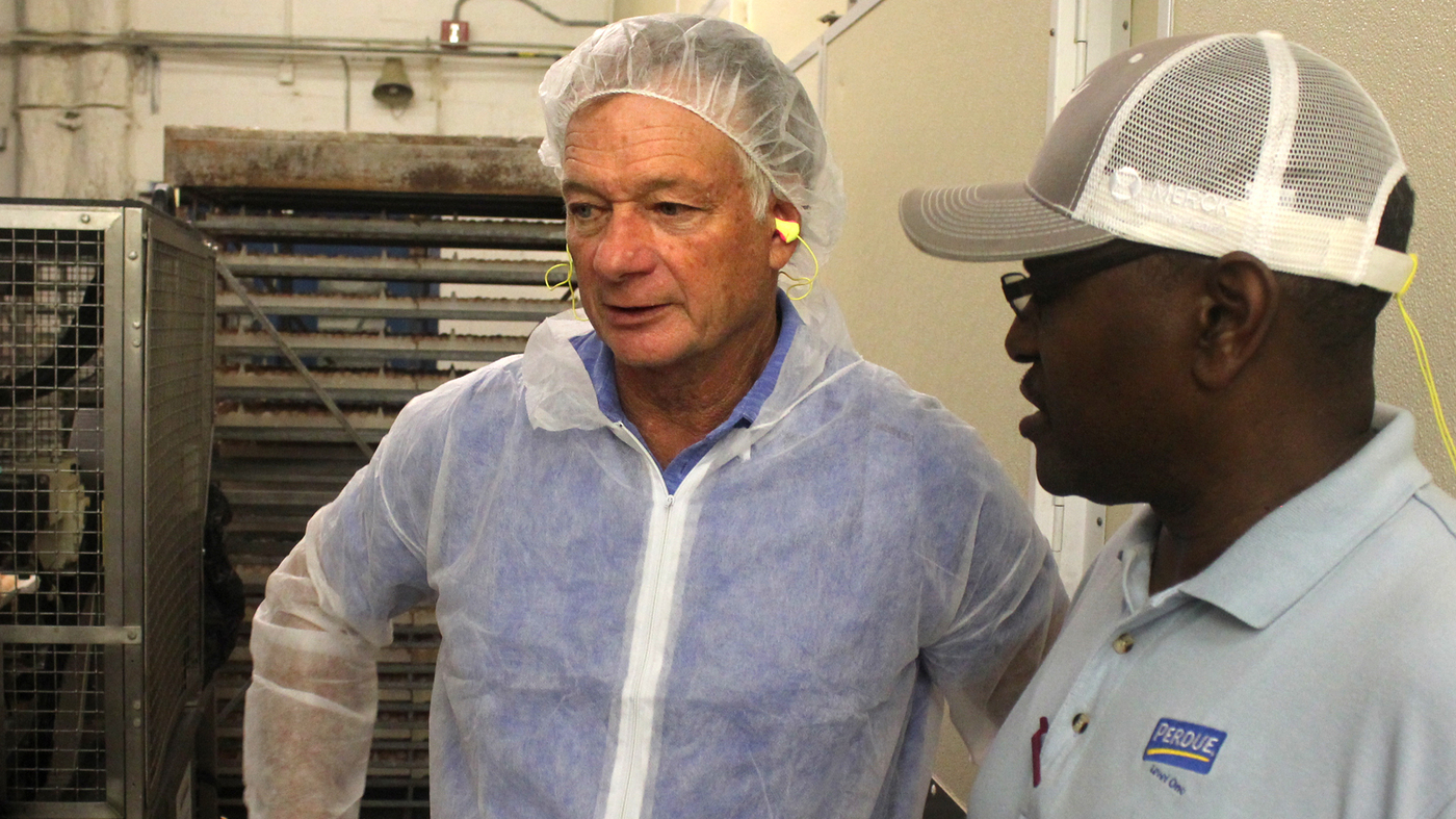 Perdue Says Its Hatching Chicks Are Off Antibiotics : The Salt : NPR