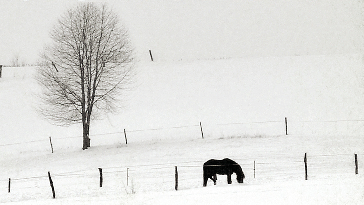 Book Review: 'The Ploughmen,' By Kim Zupan | : NPR