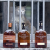 Distillery Cat Wanted: Must Be Affable, Brand-Boosting, Cold-Blooded ...