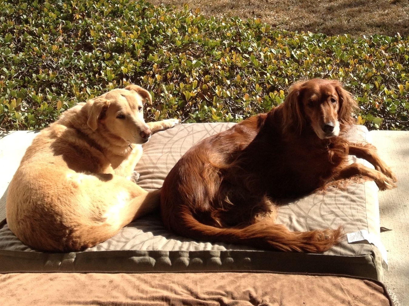 After Exoneration, Small Moments Take On New Meaning | NCPR News