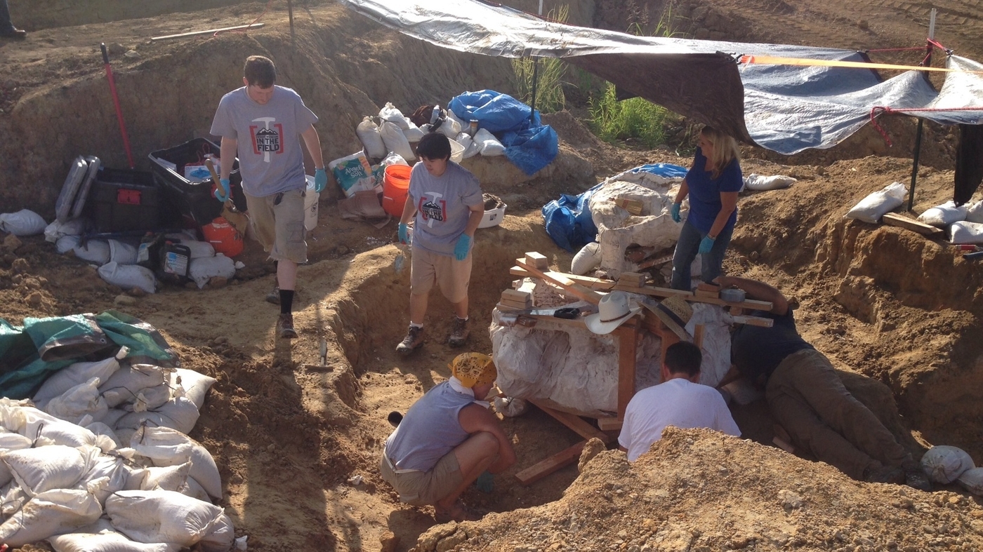 Mammoth On The Move: Rare, Nearly-Intact Skeleton Heads To Dallas : NPR