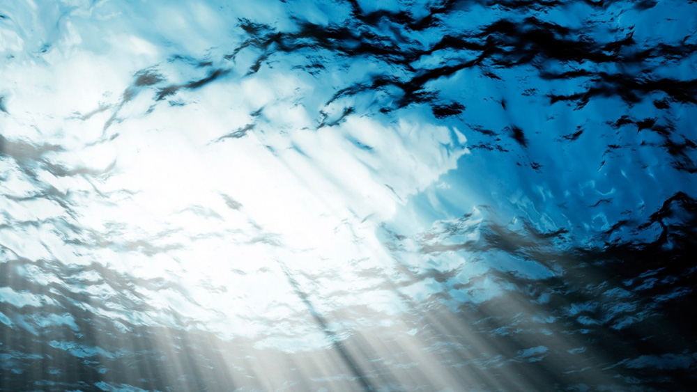 Review: John Luther Adams, 'Become Ocean' : NPR