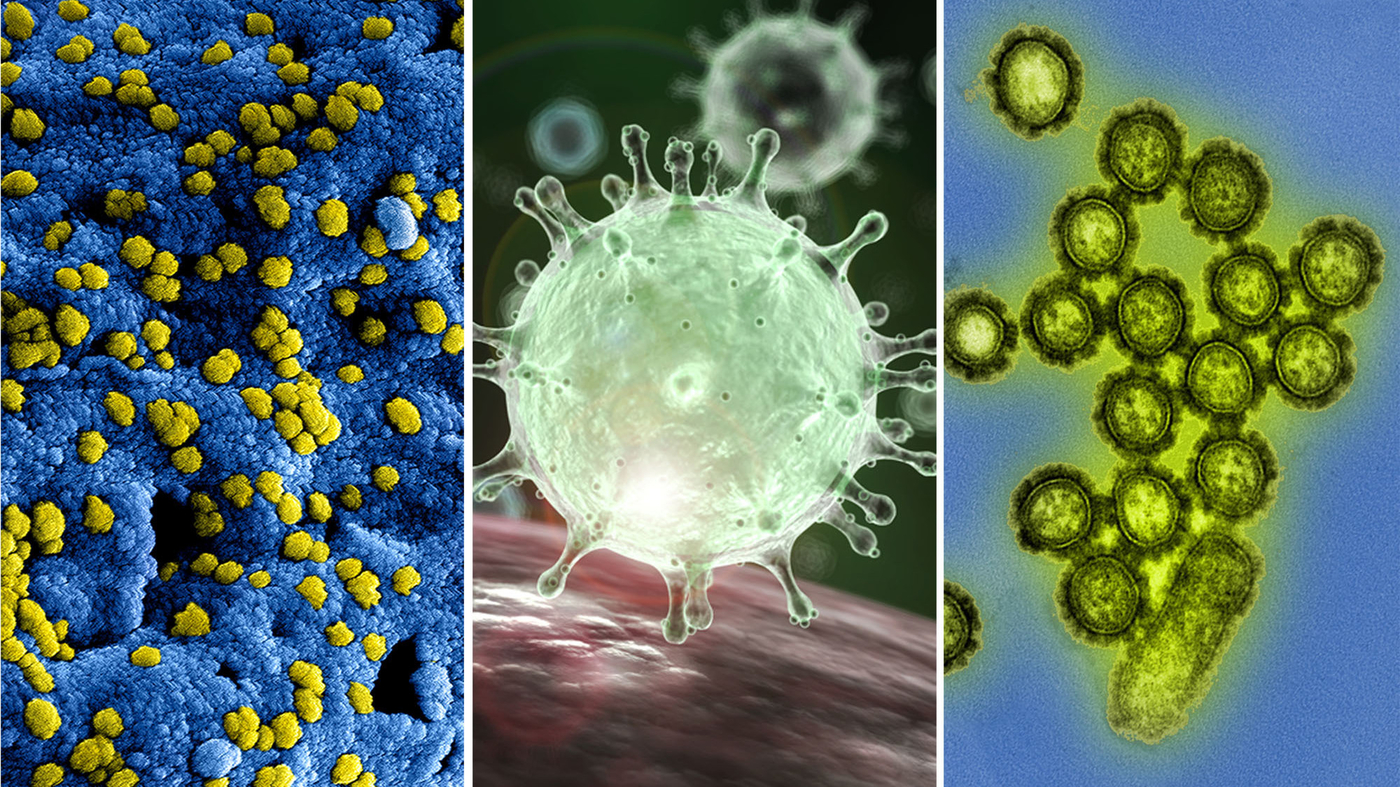 Scientists Fight For Superbug Research As U.S. Pauses Funding : Shots ...