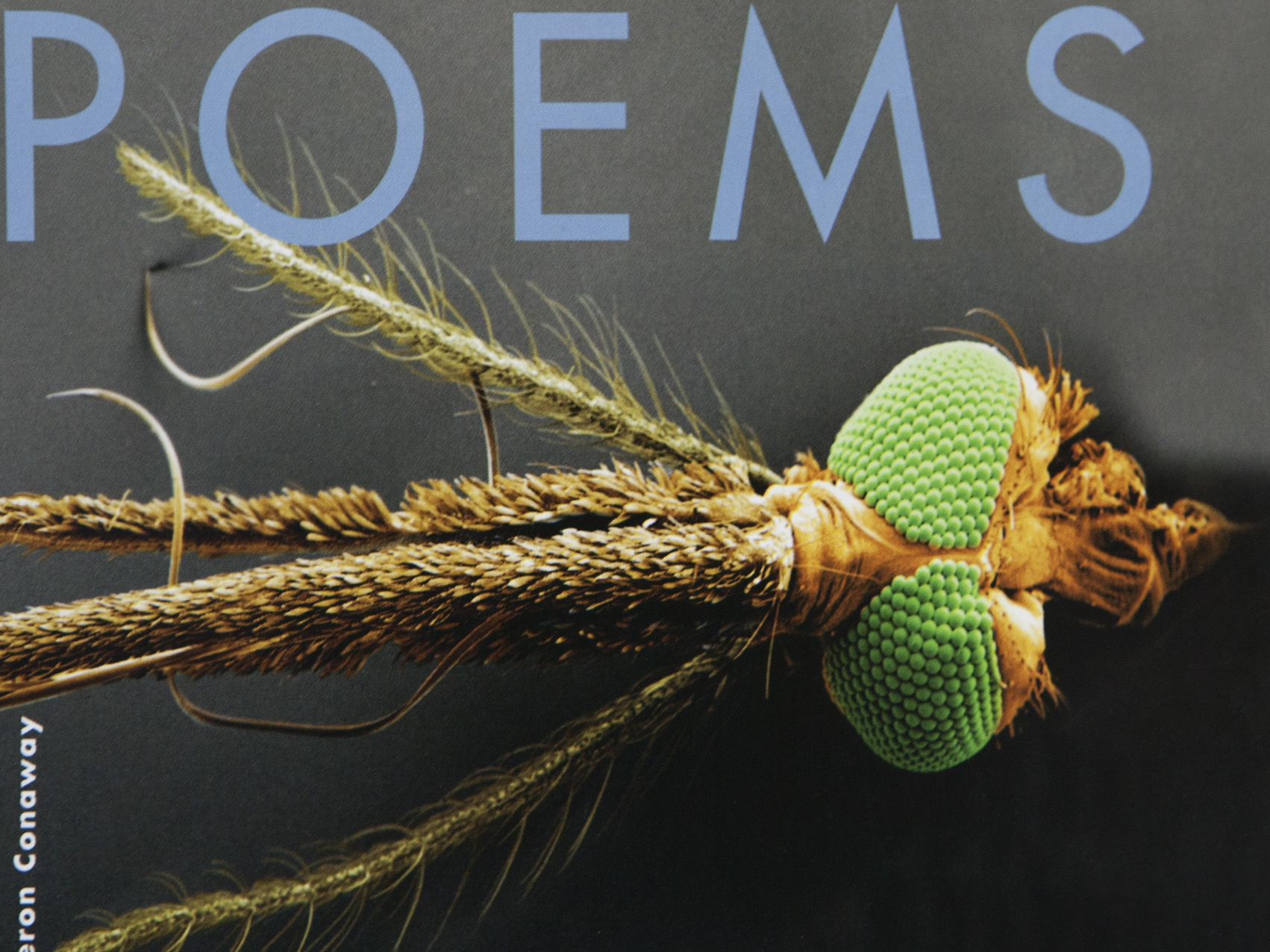 If You Think You'll Never See A Poem About Malaria, You're Wrong | NCPR ...