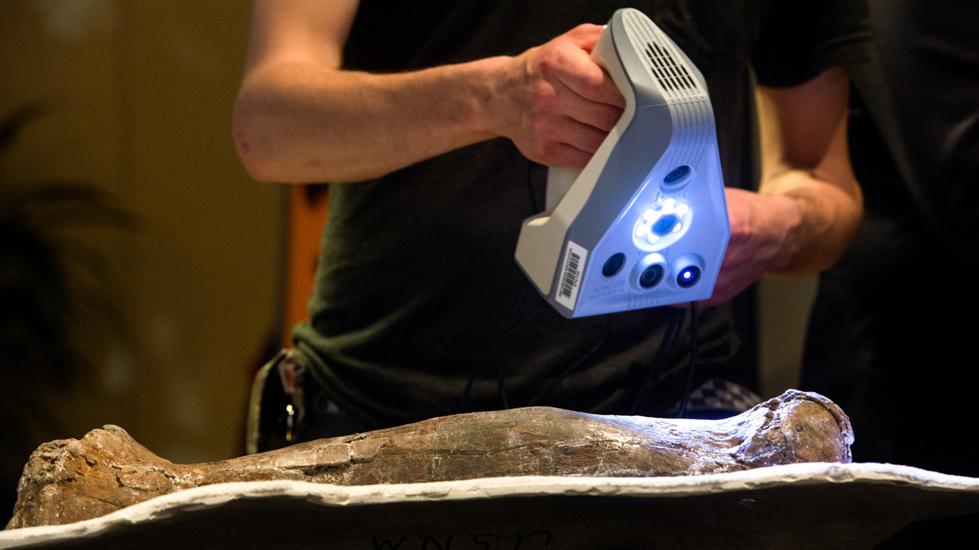 America's T. Rex Gets A Makeover : NPR