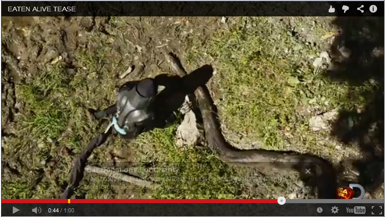 Discovery's Man-Swallowing Snake Stunt Stretches Credulity : The Two ...