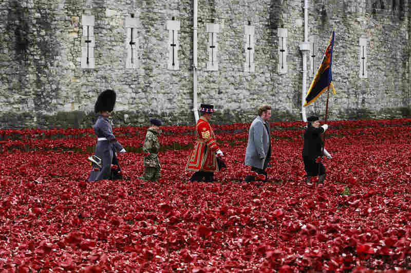 On Armistice Day In U.K., A Sea Of Red Poppies Honors The Fallen : The ...