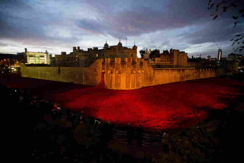 On Armistice Day In U.K., A Sea Of Red Poppies Honors The Fallen : The ...