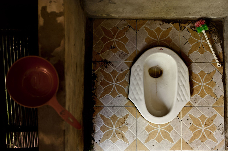 Me, Myself And The Loo: A Woman's Future Can Rest On A Toilet : Goats ...