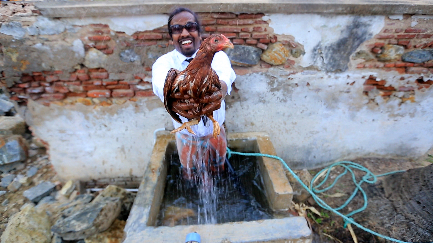 World Premiere Videos: Wilbur Dunks A Chicken, Digs Into Indian Food ...