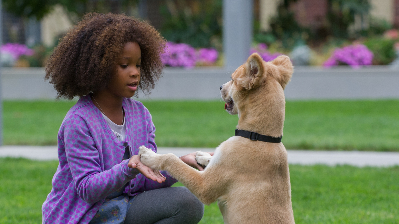 The Annie Of Tomorrow Has The Same Hard Knocks, But Different Hair ...