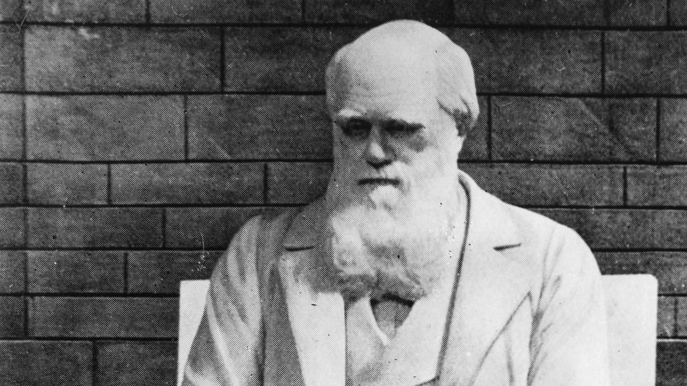 Are Men Idiots Who Do Stupid Things? Study Says Yes : The Two-Way : NPR