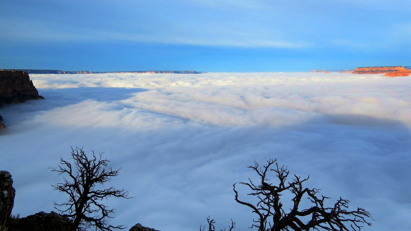 Amazing Photos Show Clouds Filling The Grand Canyon : The Two-Way : NPR