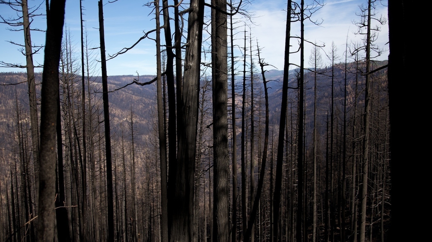 In California, Fire Plus Drought Plus Rain Add Up To Mud : NPR