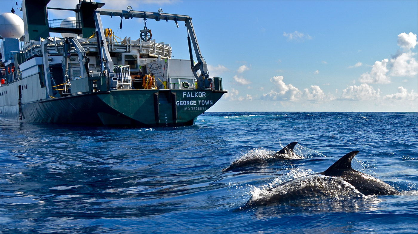 7 Miles Beneath The Sea's Surface: Who Goes There? : NPR