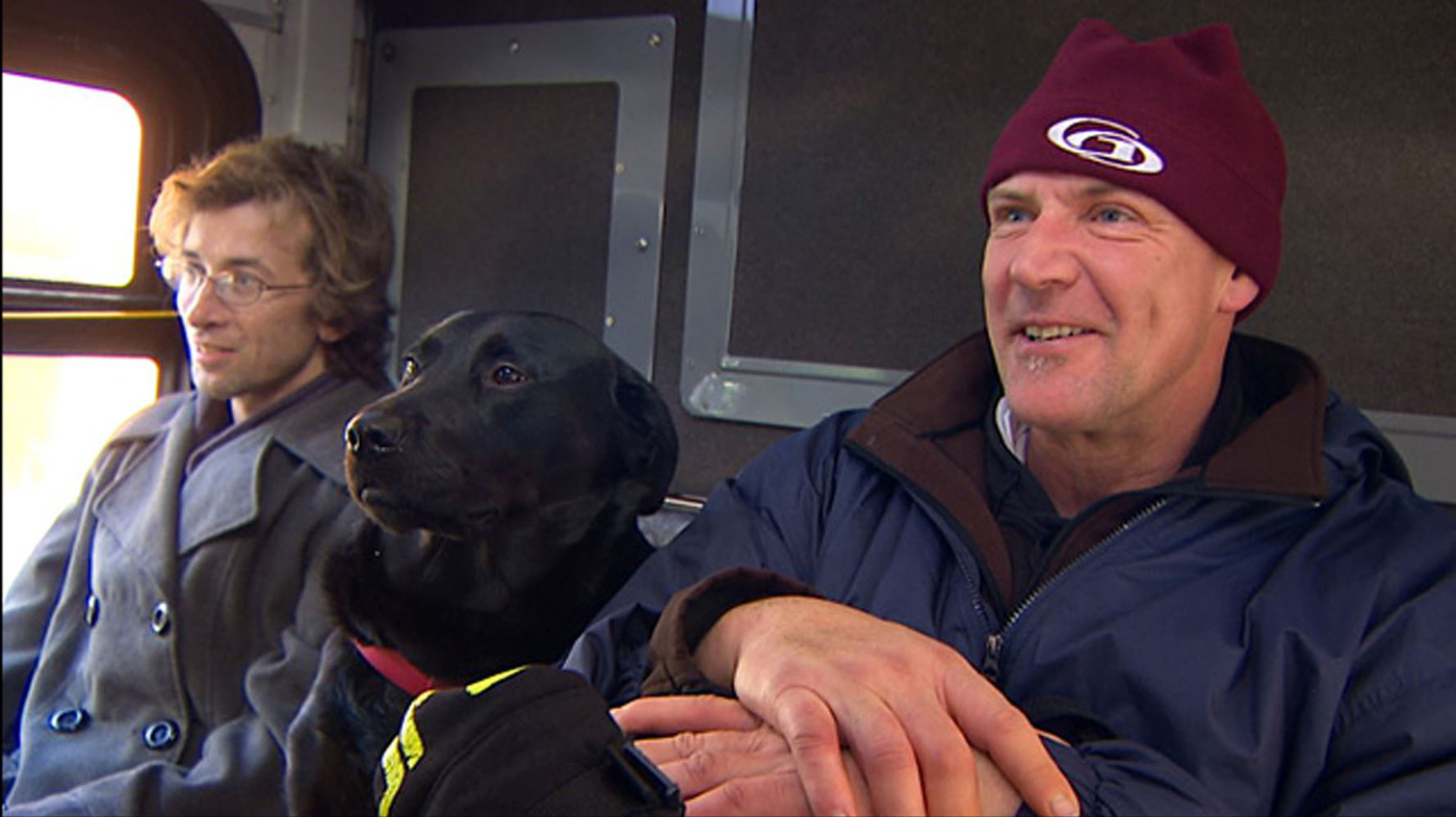 How Urbane: Dog Rides Seattle Bus To Get To The Park : The Two-Way : NPR