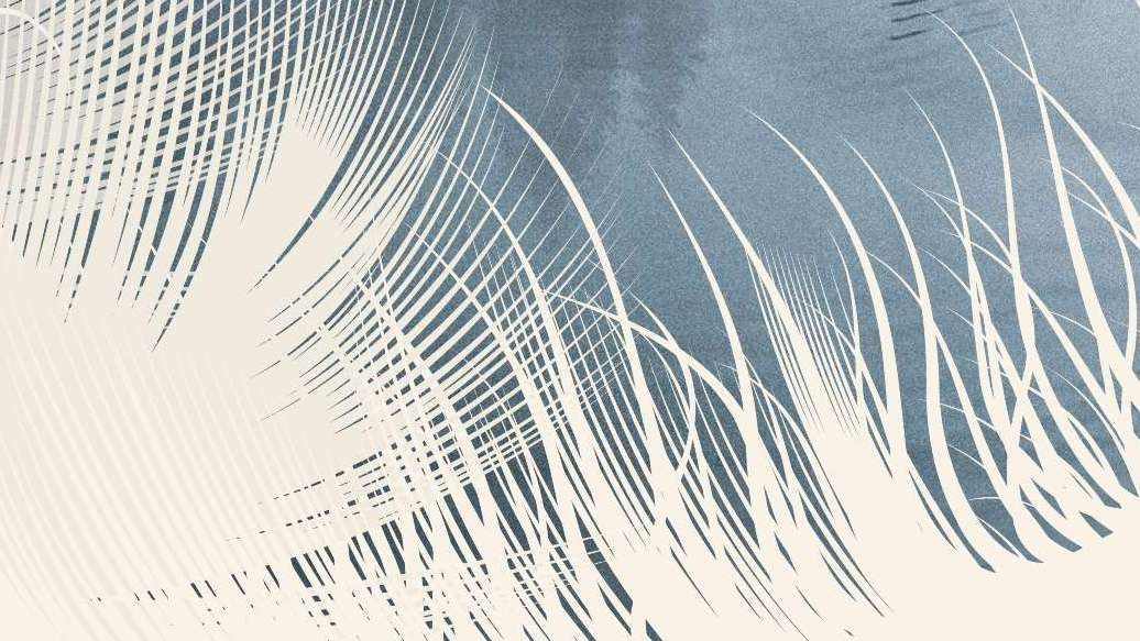 Book Review: 'Prudence' : NPR