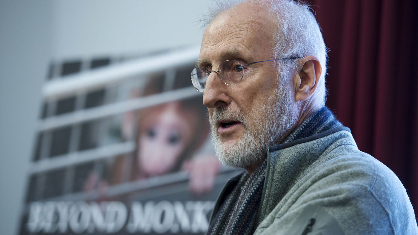 Plight Of Baby Lab Monkeys Reaches Congress : 13.7: Cosmos And Culture ...