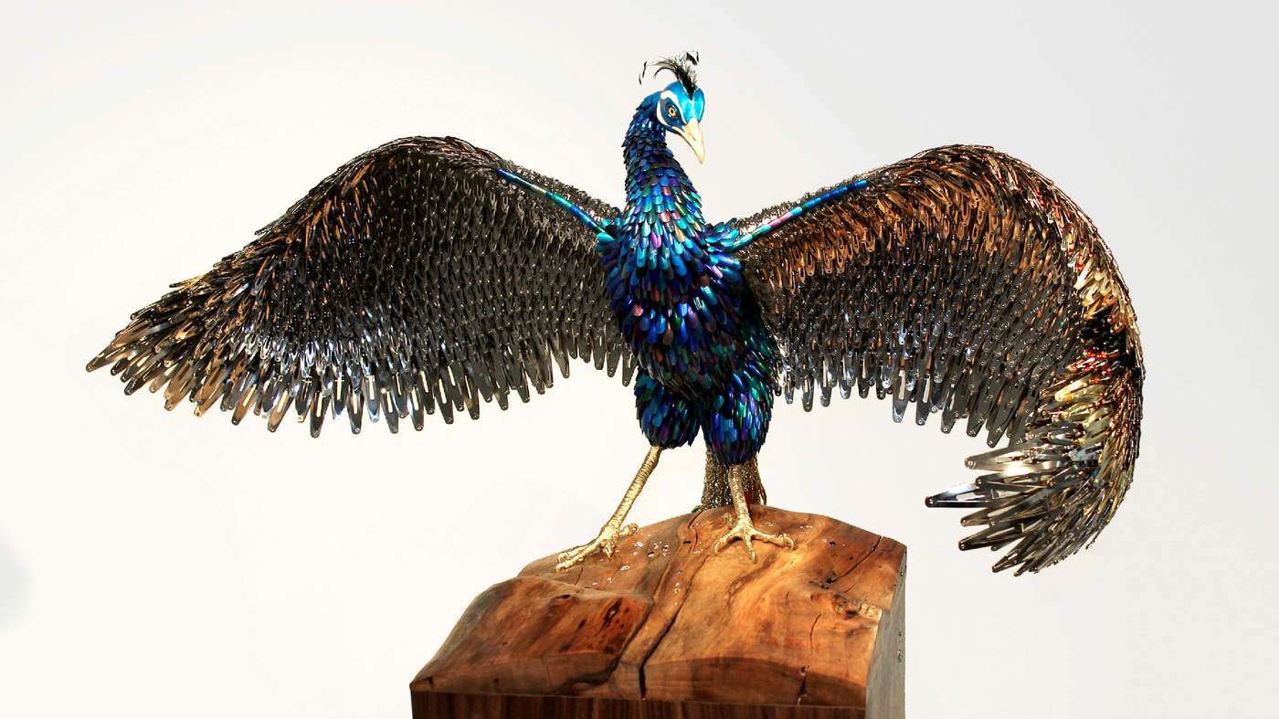 Beautiful Bird Exhibit Spotted At Smithsonian : NPR