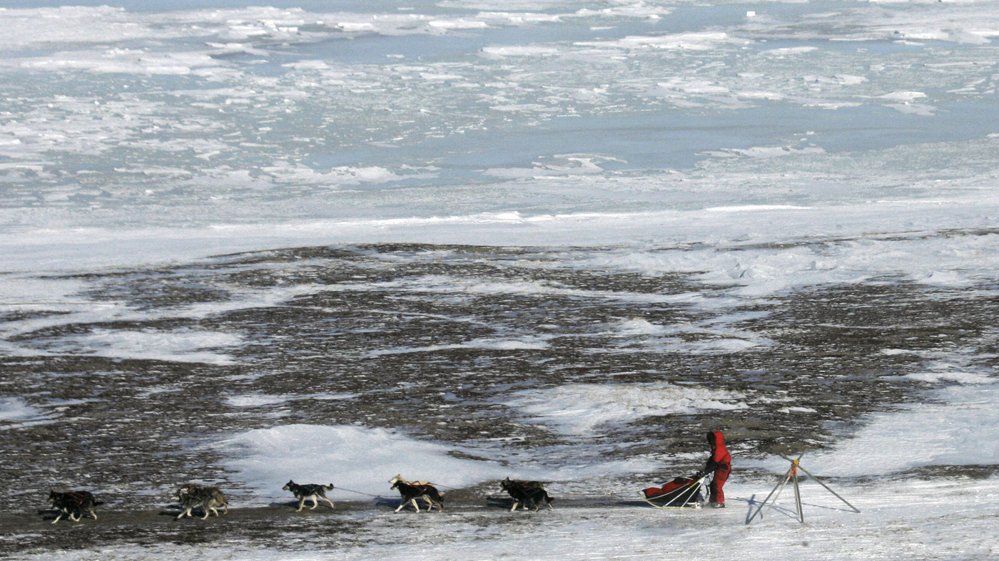 Facing 1,000 Miles Of Frigid Winds With Loyal Dogs And Willpower : NPR