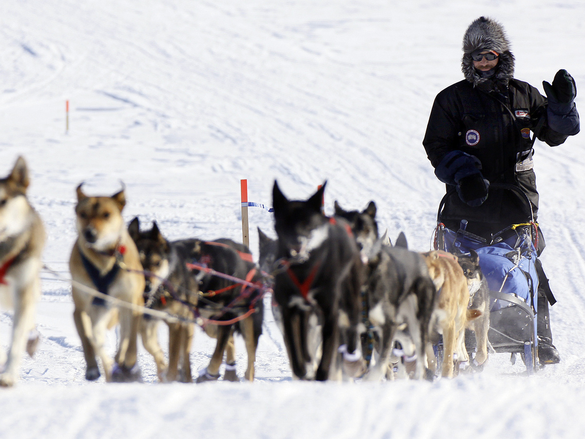 Facing 1,000 Miles Of Frigid Winds With Loyal Dogs And Willpower : NPR
