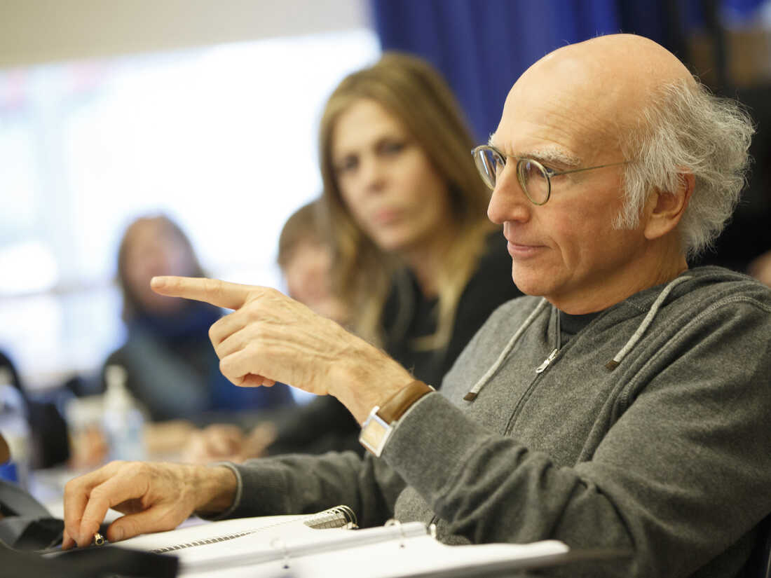 Interview: Larry David, Fish in the Dark : NPR