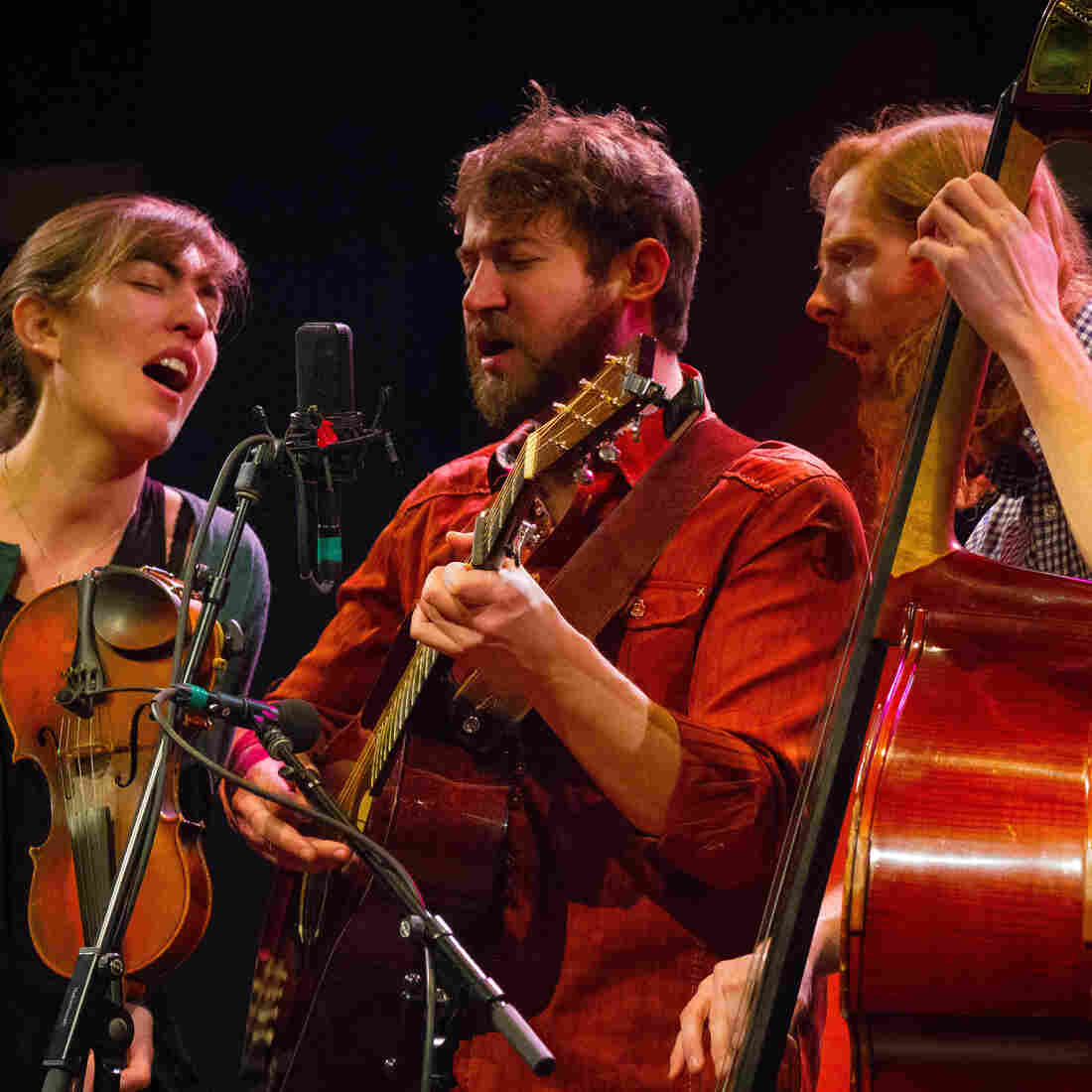 The Stray Birds On World Cafe : World Cafe : NPR