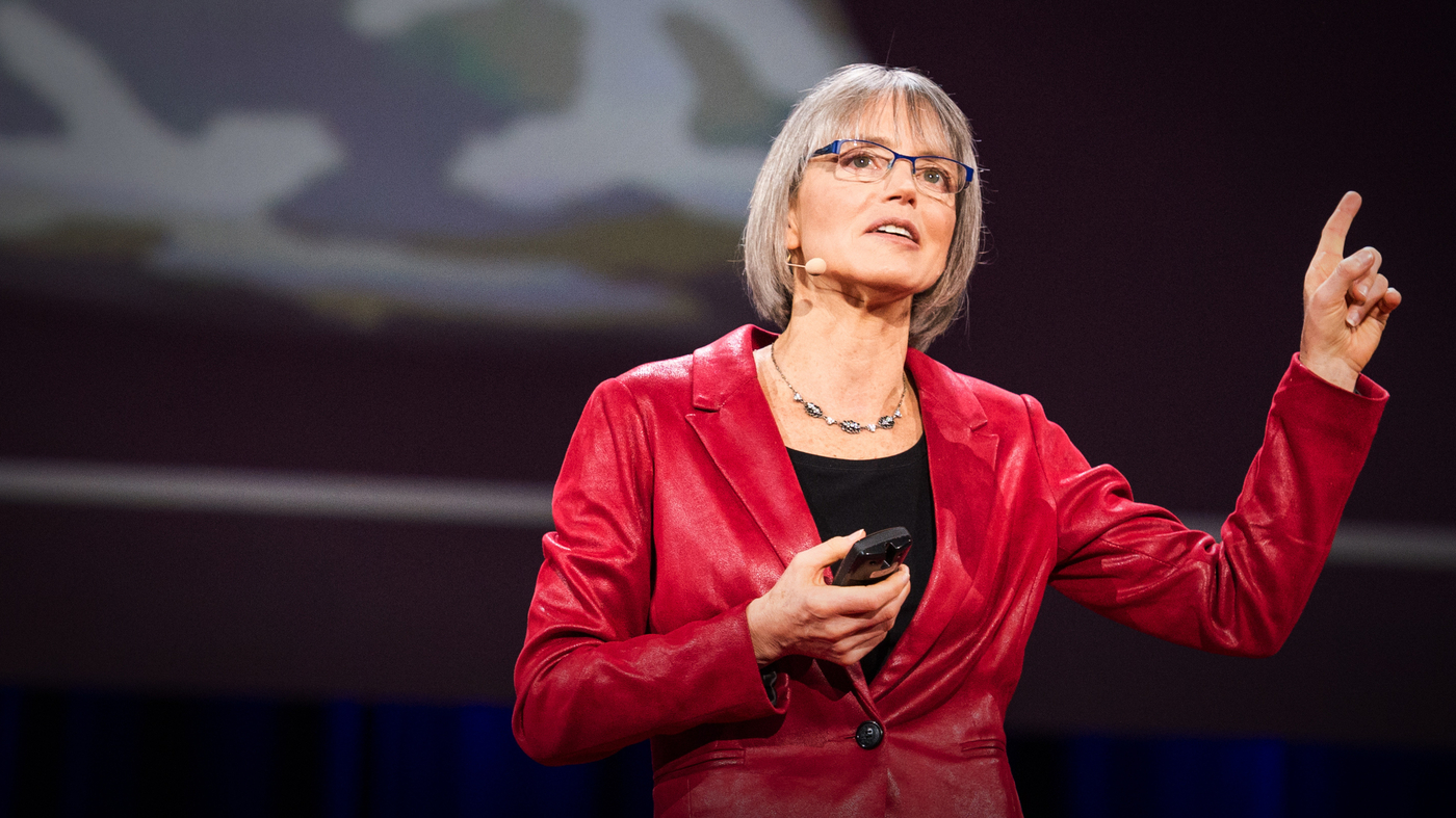 Nancy Kanwisher: What Does It Take To Map The Human Brain? : NPR