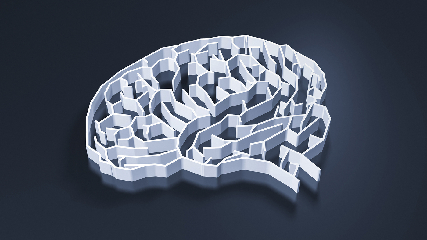 The Unknown Brain : TED Radio Hour : NPR