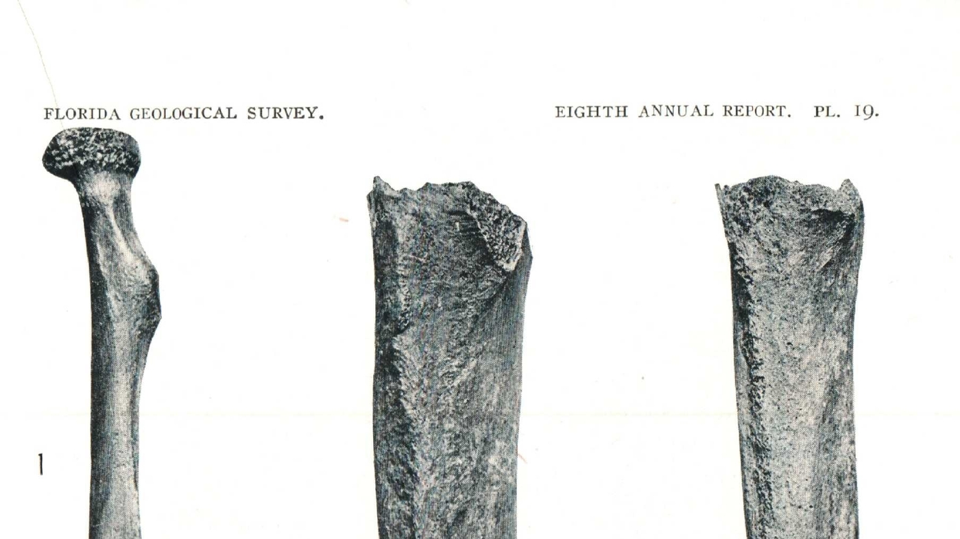 Can You Dig It? More Evidence Suggests Humans From The Ice Age : NPR