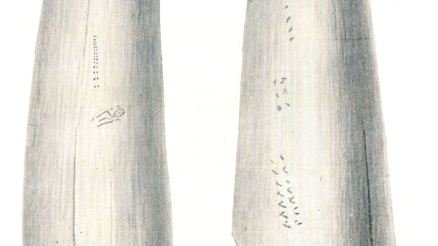 Can You Dig It? More Evidence Suggests Humans From The Ice Age : NPR