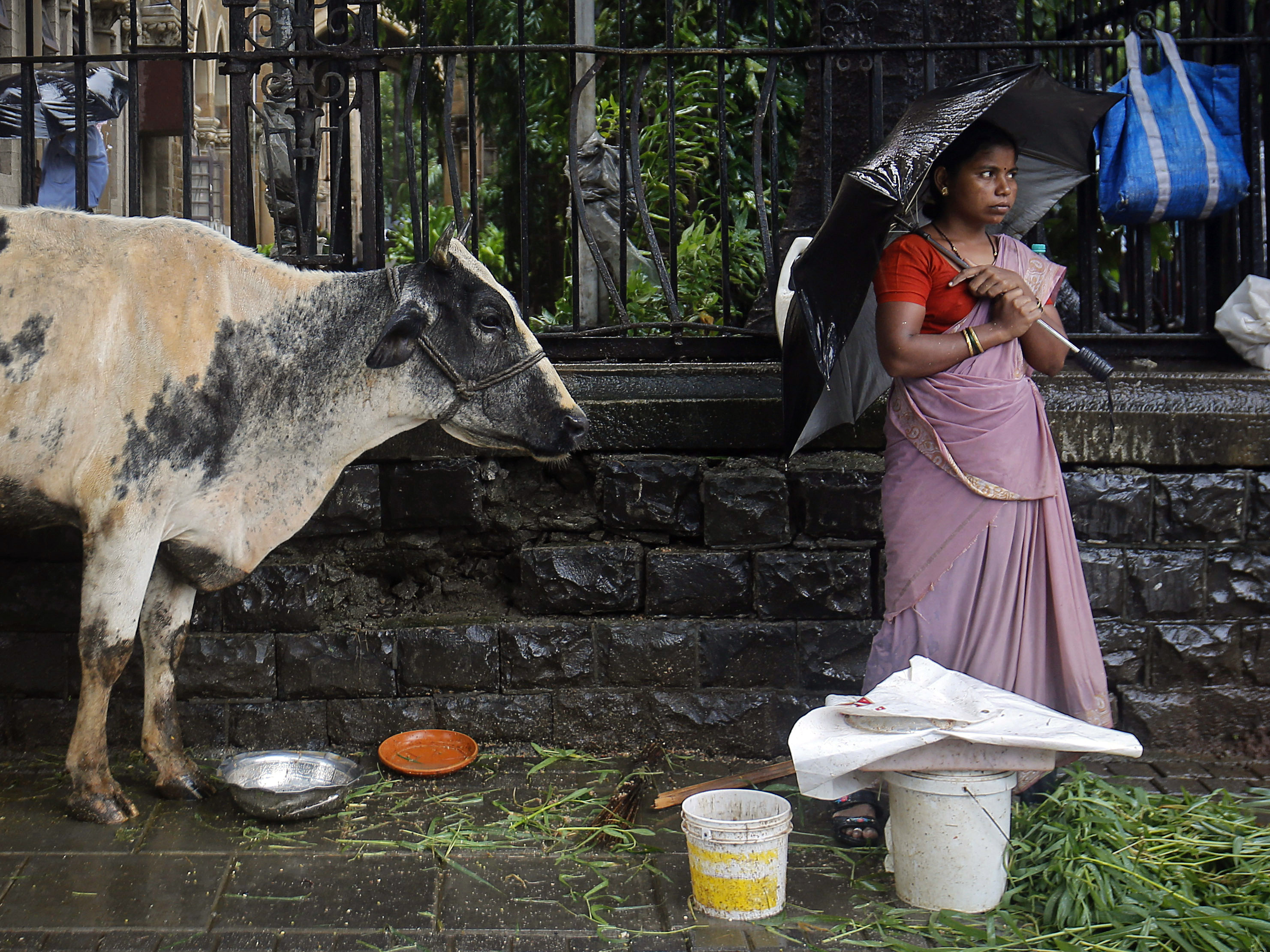 Indian State Bans The Slaughter, Sale And Consumption Of Beef | NPR ...