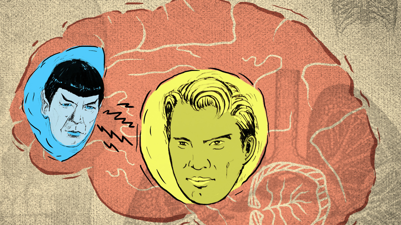 The Teenage Brain: Spock Vs. Captain Kirk : NPR Ed : NPR